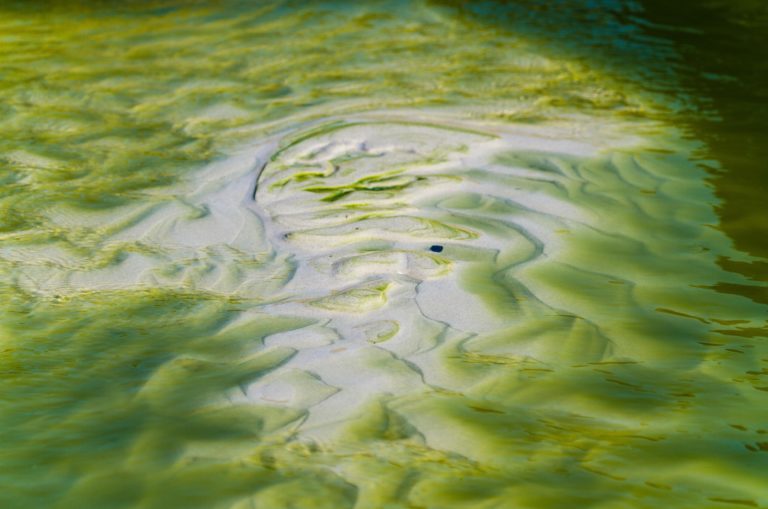 Testing on Waste, Sludge & Soil - Analytical Group