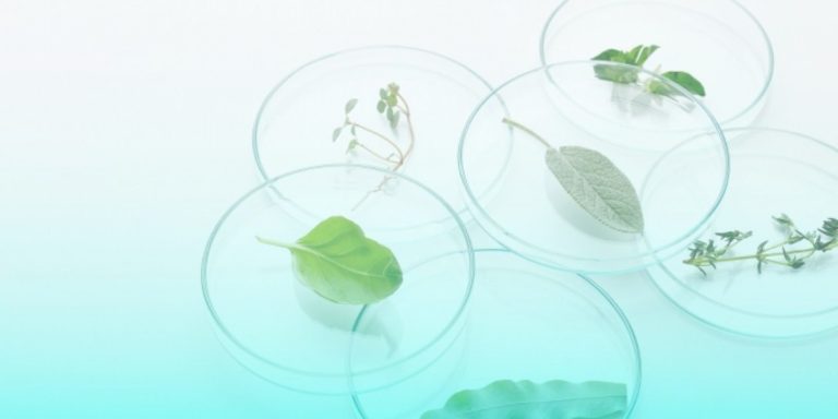 New ZDHC Wastewater Man-made Cellulosic Fibre (MMCF) Certification ...